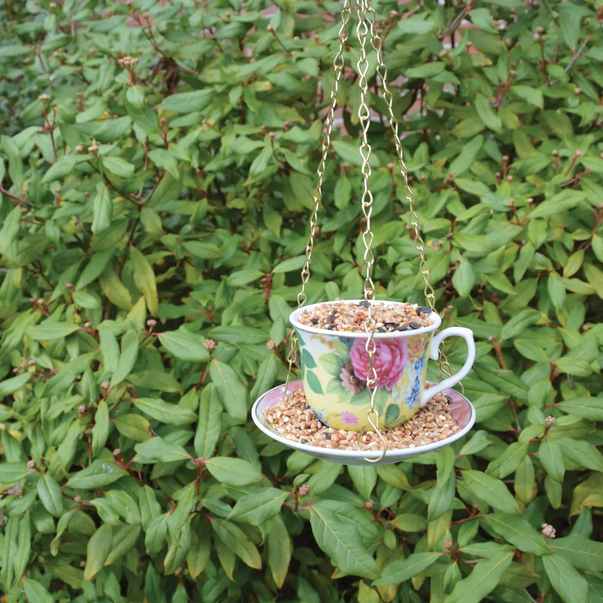 Hanging Teacup Feeder – Pandy's Garden Center