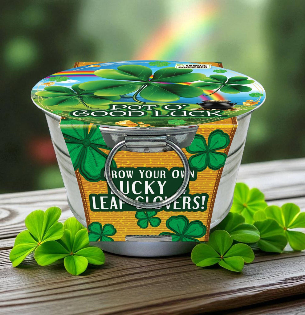 Pot O' Good Luck – Pandy's Garden Center