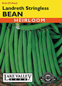 BEAN BUSH LANDRETH STRINGLESS HEIRLOOM – Pandy's Garden Center