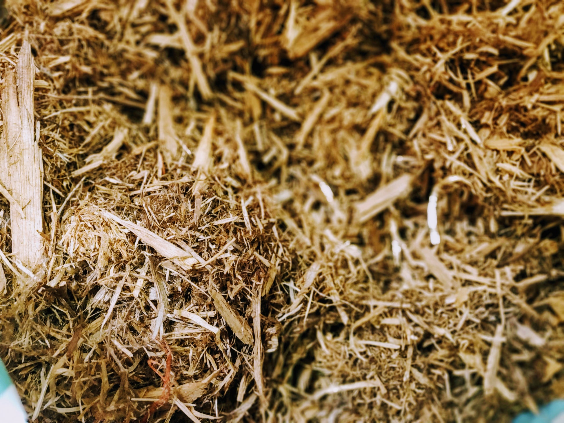cedar straw mulch