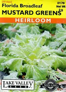 MUSTARD GREENS FLORIDA BROADLEAF HEIRLOOM – Pandy's Garden Center